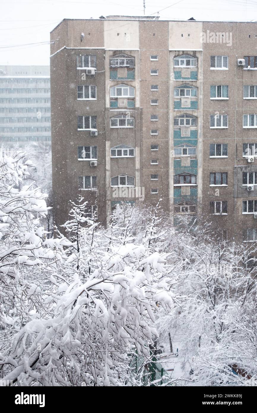 Winter scene outside window with snow-covered tree branches in ...