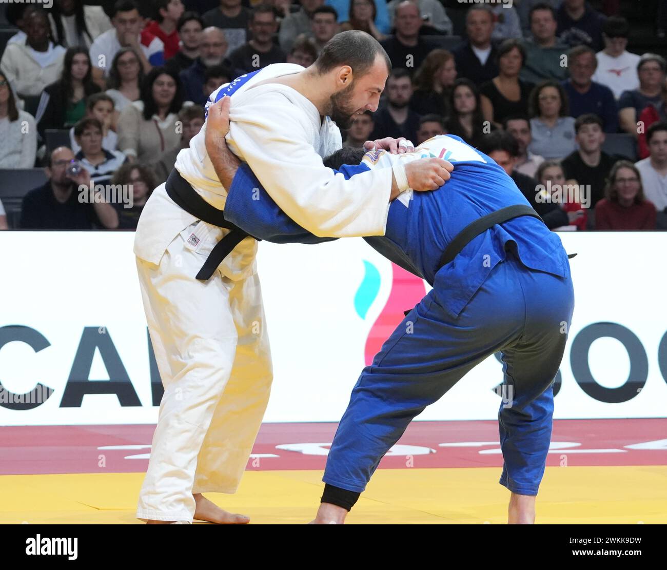 WOLF AARON of JAPAN AND SAVYTSKIY ANTON OF UKRAINE during the Paris Grand Slam 2024, IJF Judo ...