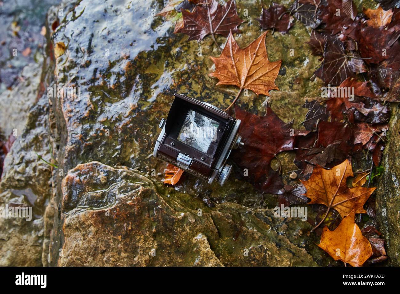 Vintage Camera and Autumn Leaves by Waterfall Rocks Stock Photo - Alamy