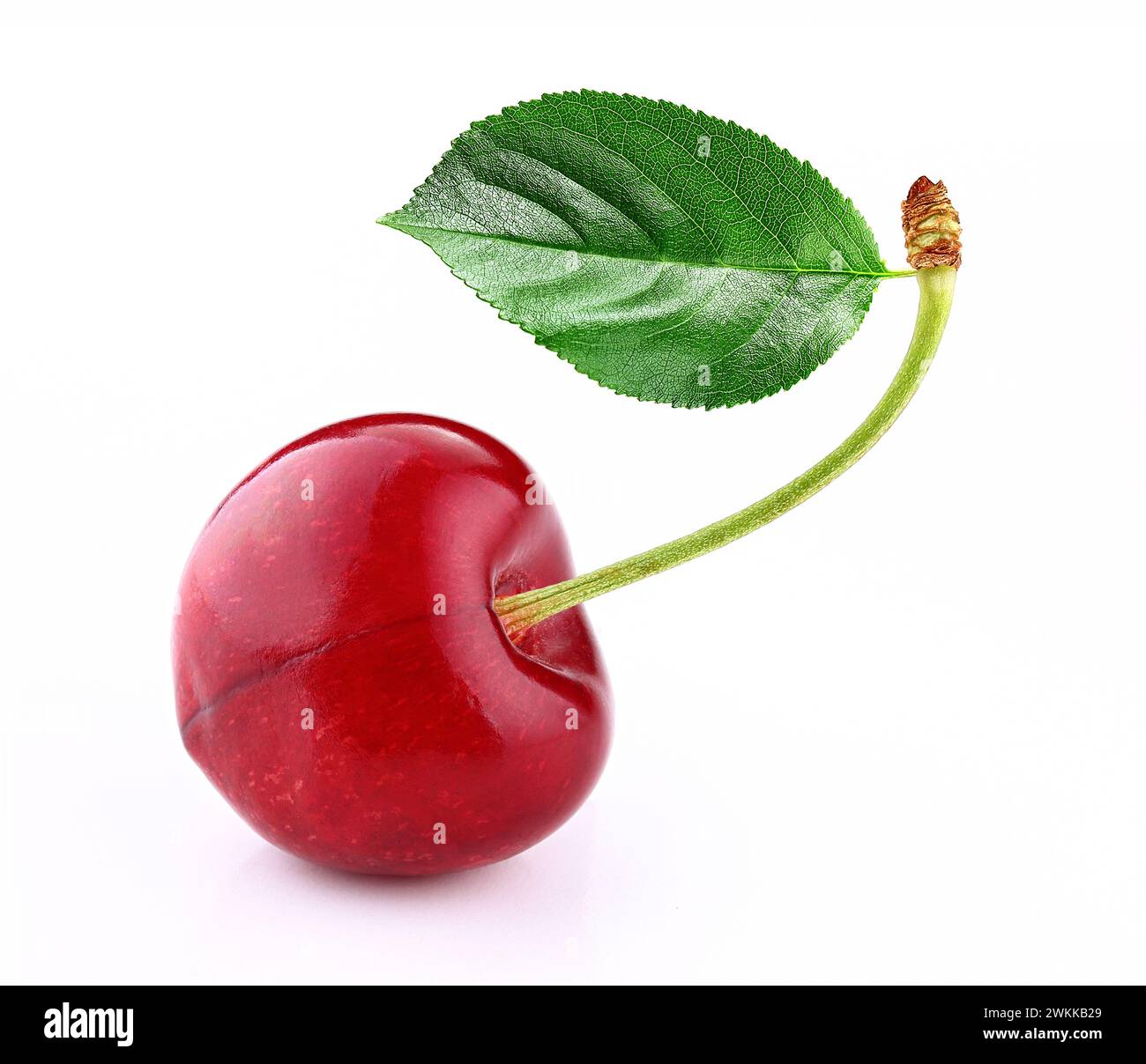 cherry with leaf isolated white background Stock Photo - Alamy
