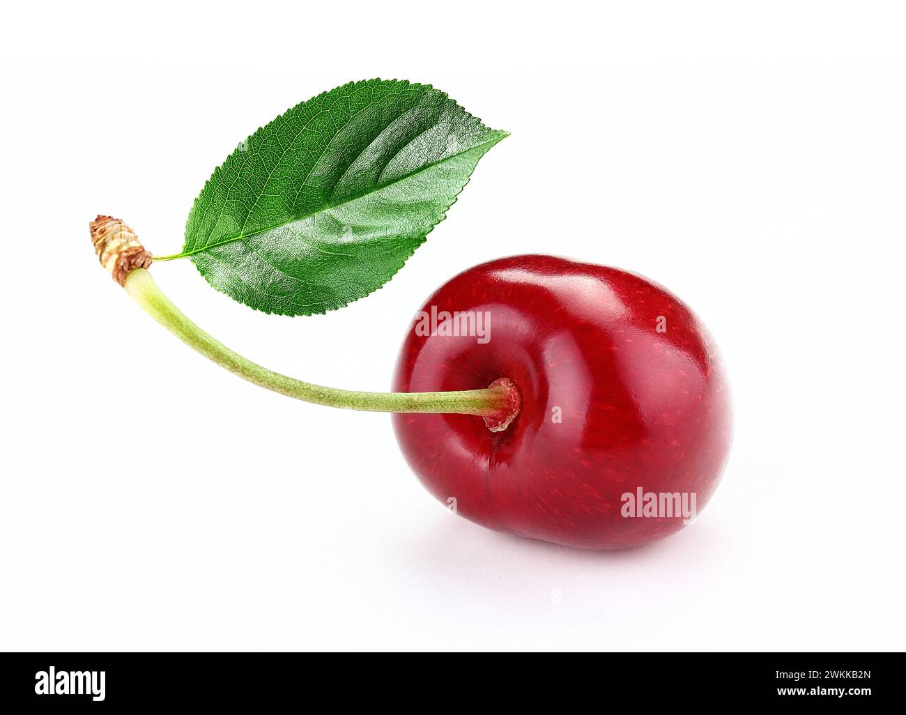 cherry with leaf isolated white background Stock Photo - Alamy