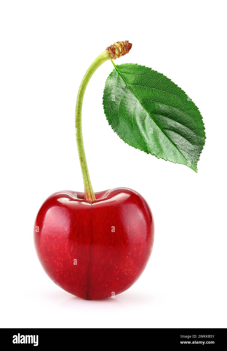 cherry with leaf isolated white background Stock Photo - Alamy