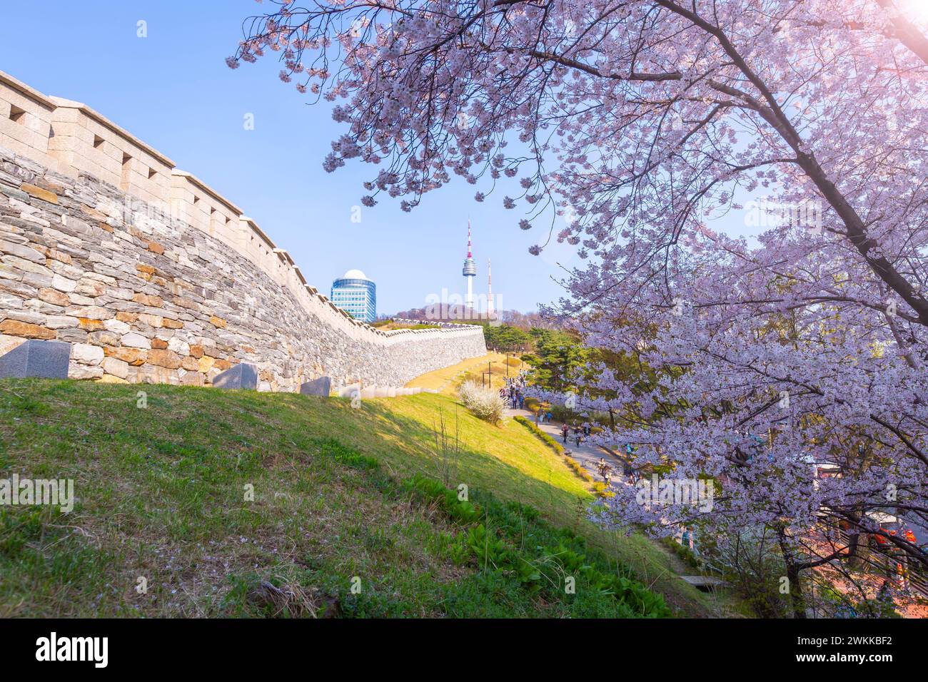 Namsan seoul tower cherry hi-res stock photography and images - Alamy