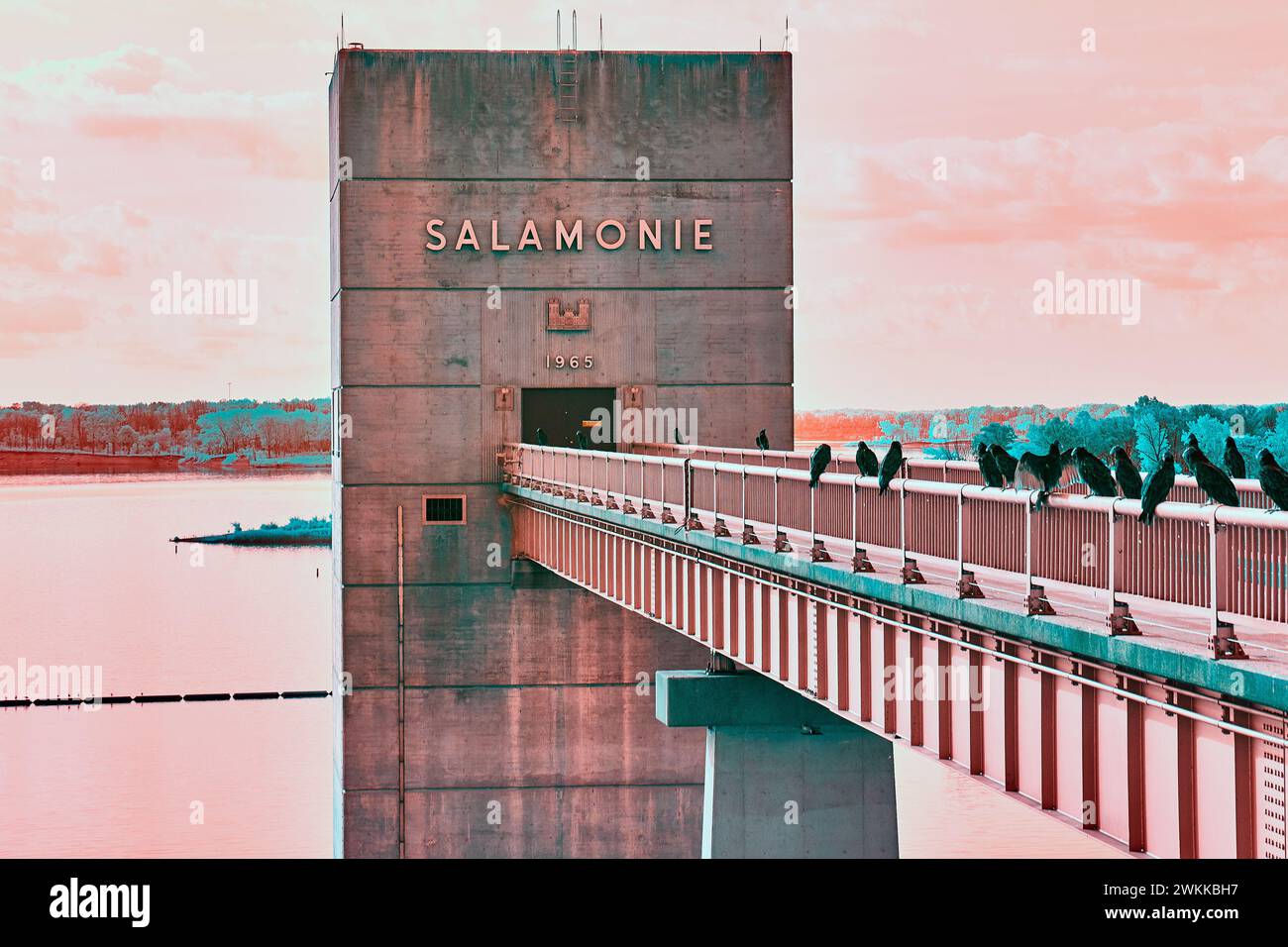 Teal and Orange Salamonie Dam with Perched Vultures, Indiana Stock ...