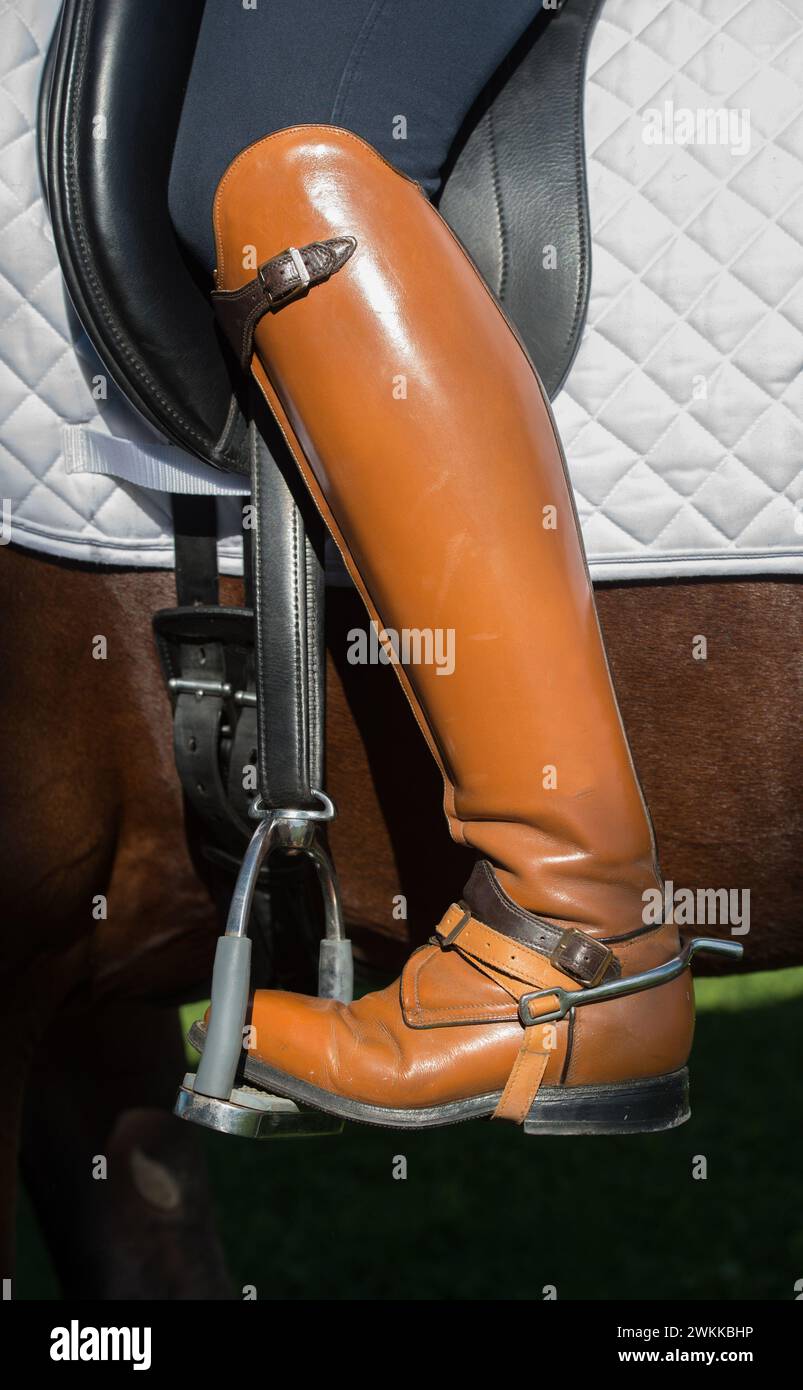 Dressage leg position hi-res stock photography and images - Alamy
