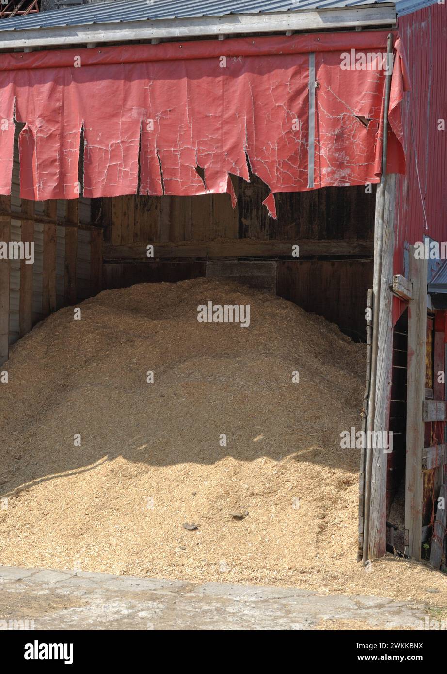 Shavings storage area shed or barn wood shavings for bedding for horses ...