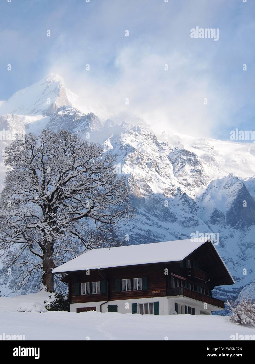 A winter view, with snow, with a wooden house and a huge mountain in ...