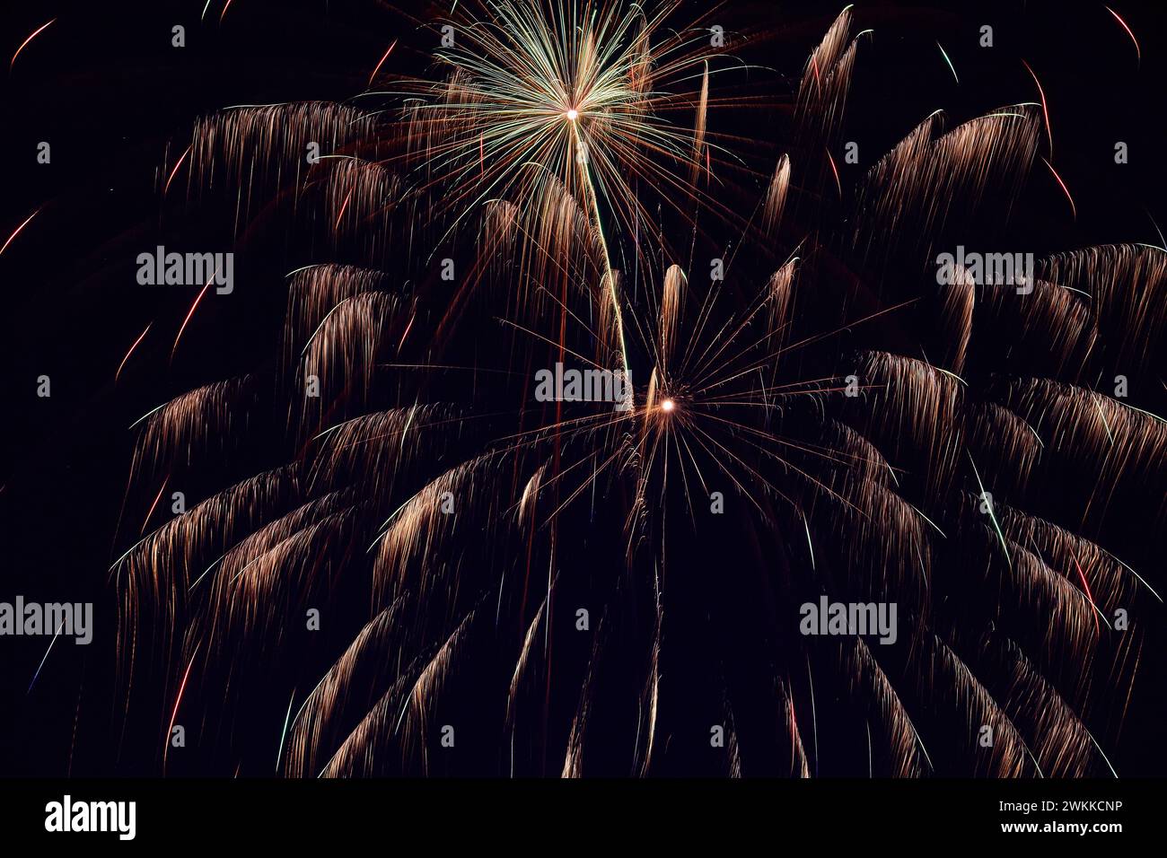 Vibrant Fireworks Display at Night with Golden Willow Effects Stock ...