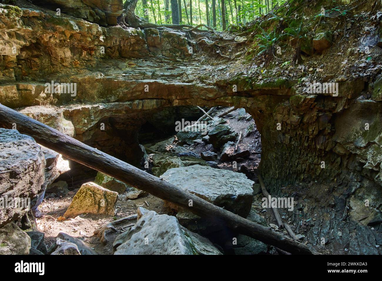 Serene Forest with Natural Rock Bridge at McCormick's Creek Falls, Eye ...