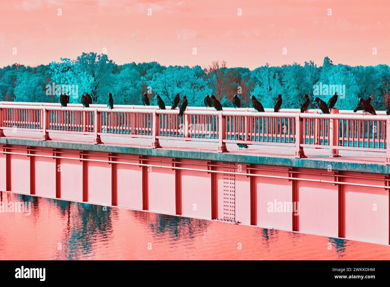 Birds eye view of the bridge hi-res stock photography and images - Alamy