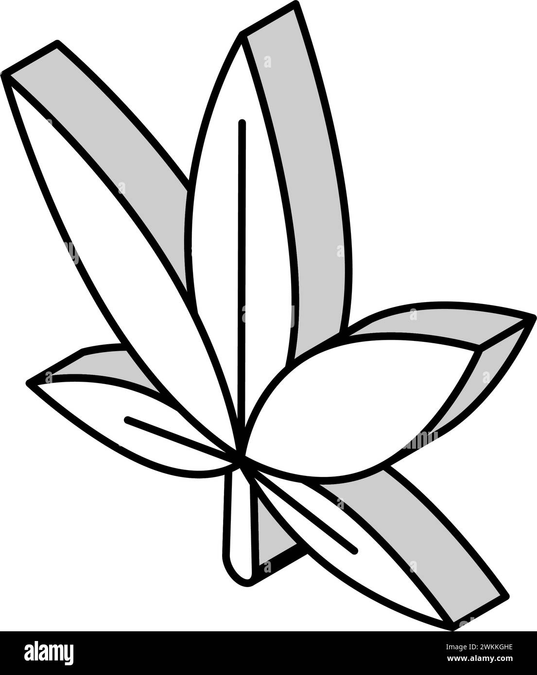 cannabis plant leaf weed hemp isometric icon vector illustration Stock ...