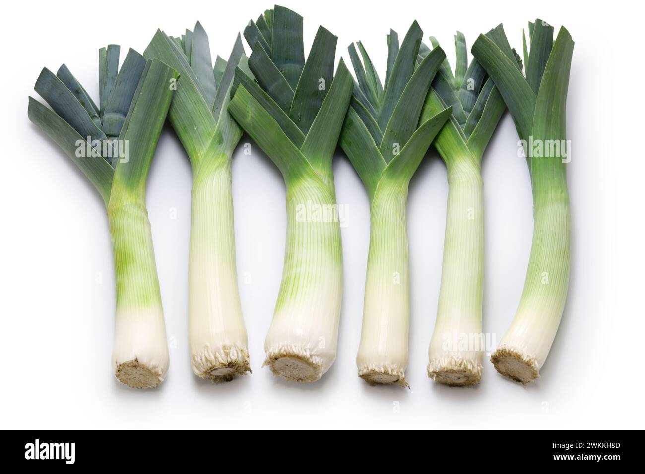 freshly harvested leeks isolated on white background Stock Photo - Alamy