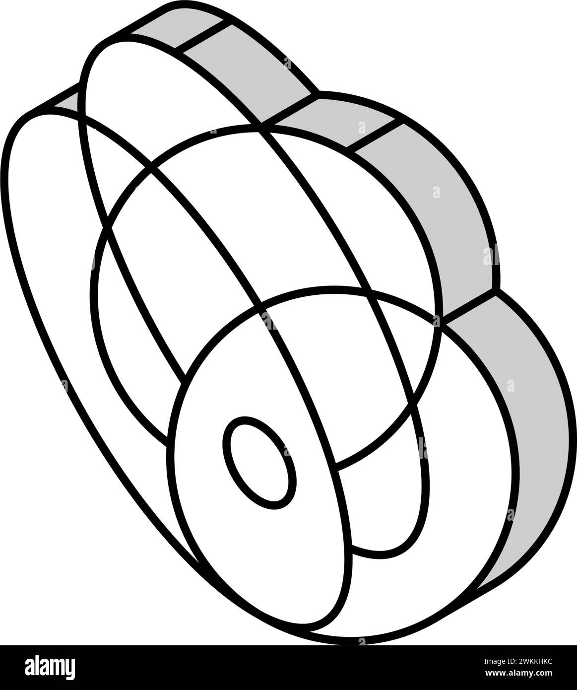 intersectional feminism woman isometric icon vector illustration Stock ...