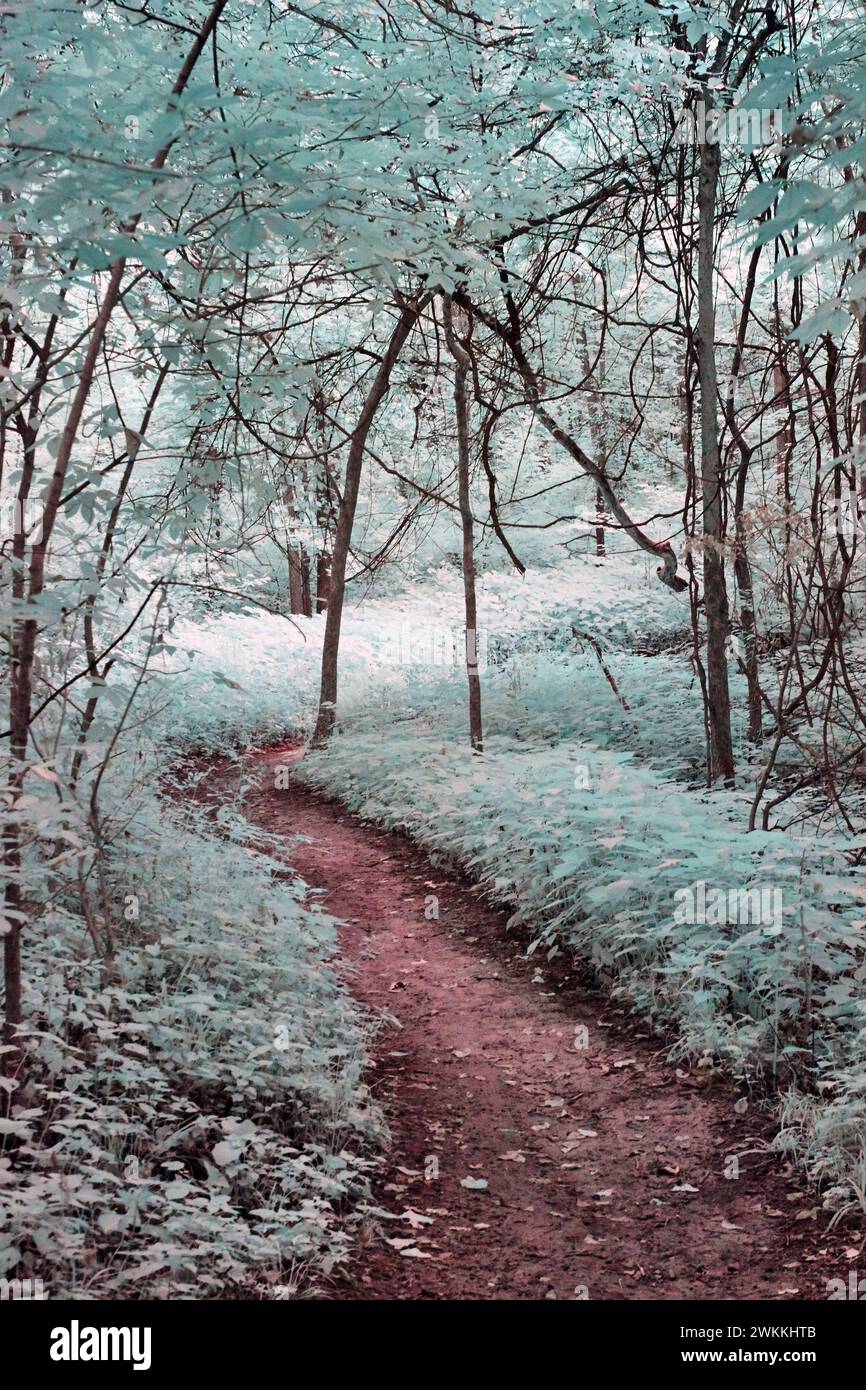 Dreamlike color palette hi-res stock photography and images - Alamy