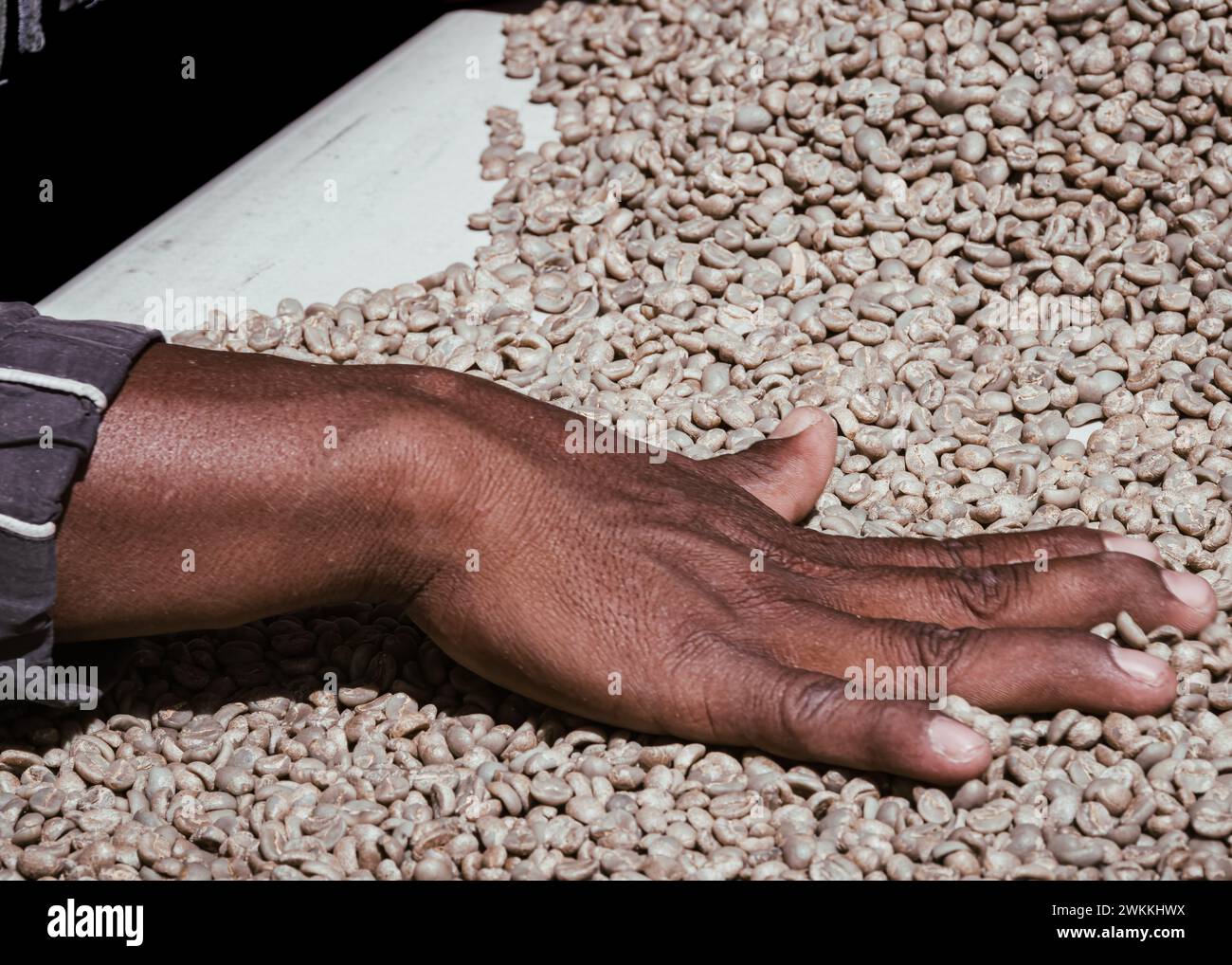 Hand sorting hi-res stock photography and images - Alamy