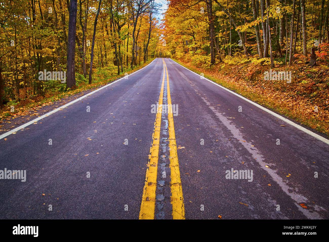 Autumn Splendor on Serene Keweenaw Road - Wet Asphalt and Fall Foliage ...