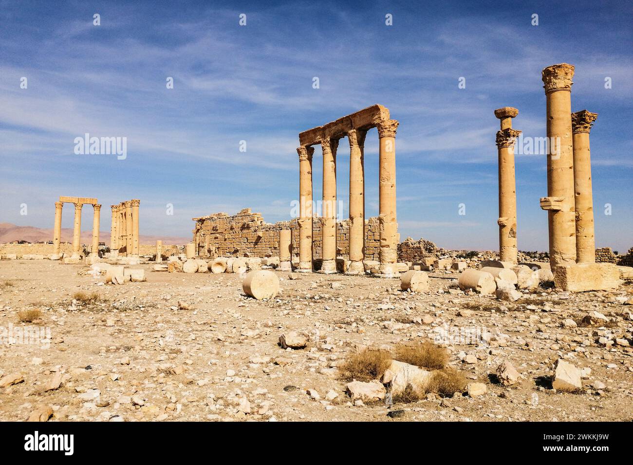 Syria, , Palmyra, archaeological site Stock Photo - Alamy