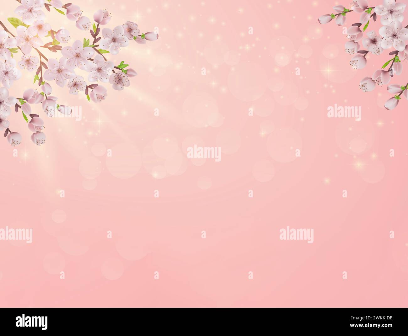 Blossoming light pink sakura flowers. Realistic cherry flowers ...