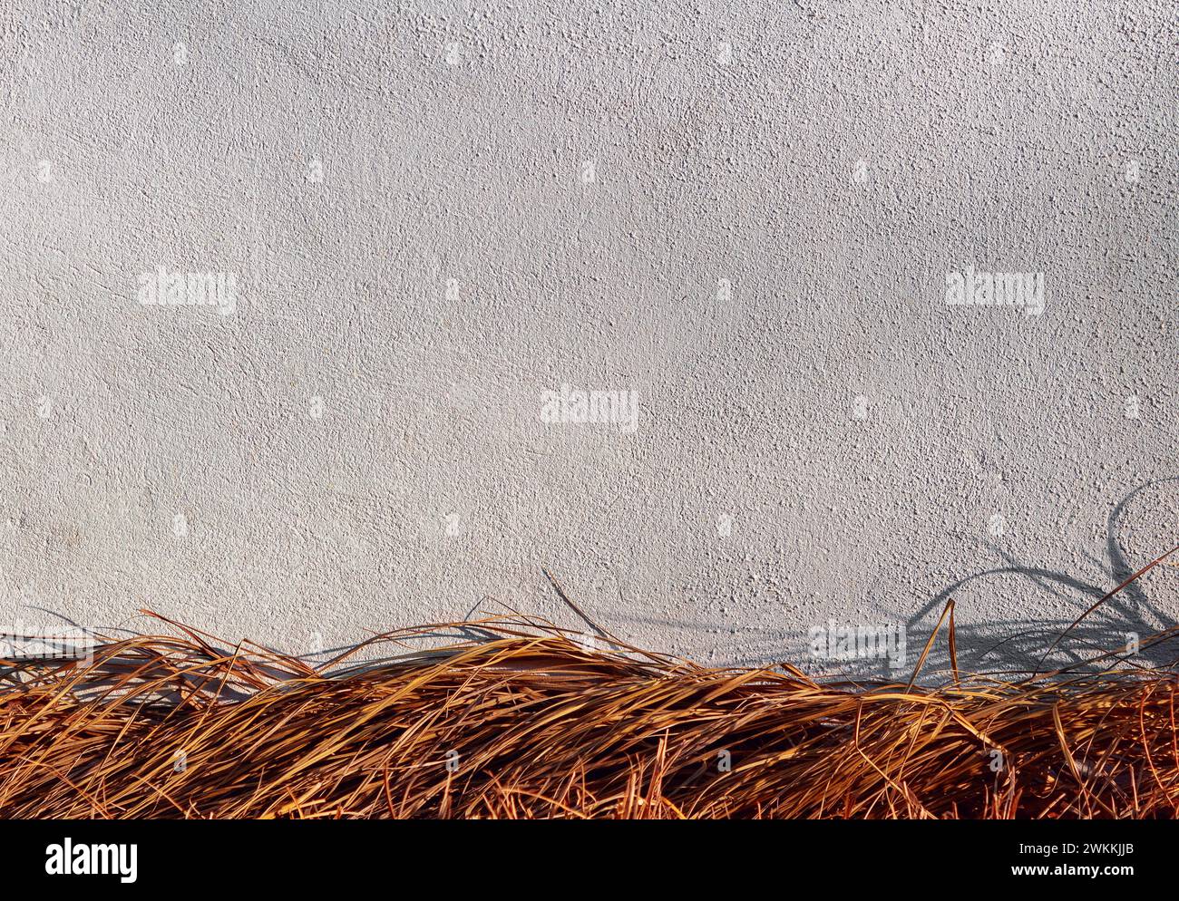 White wall texture with dry yellow grass Stock Photo - Alamy