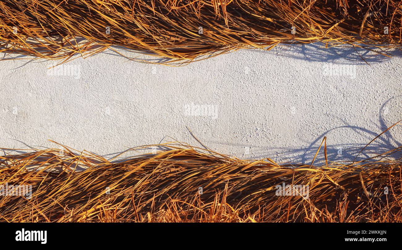 Texture of a white wall with dry yellow grass Stock Photo - Alamy