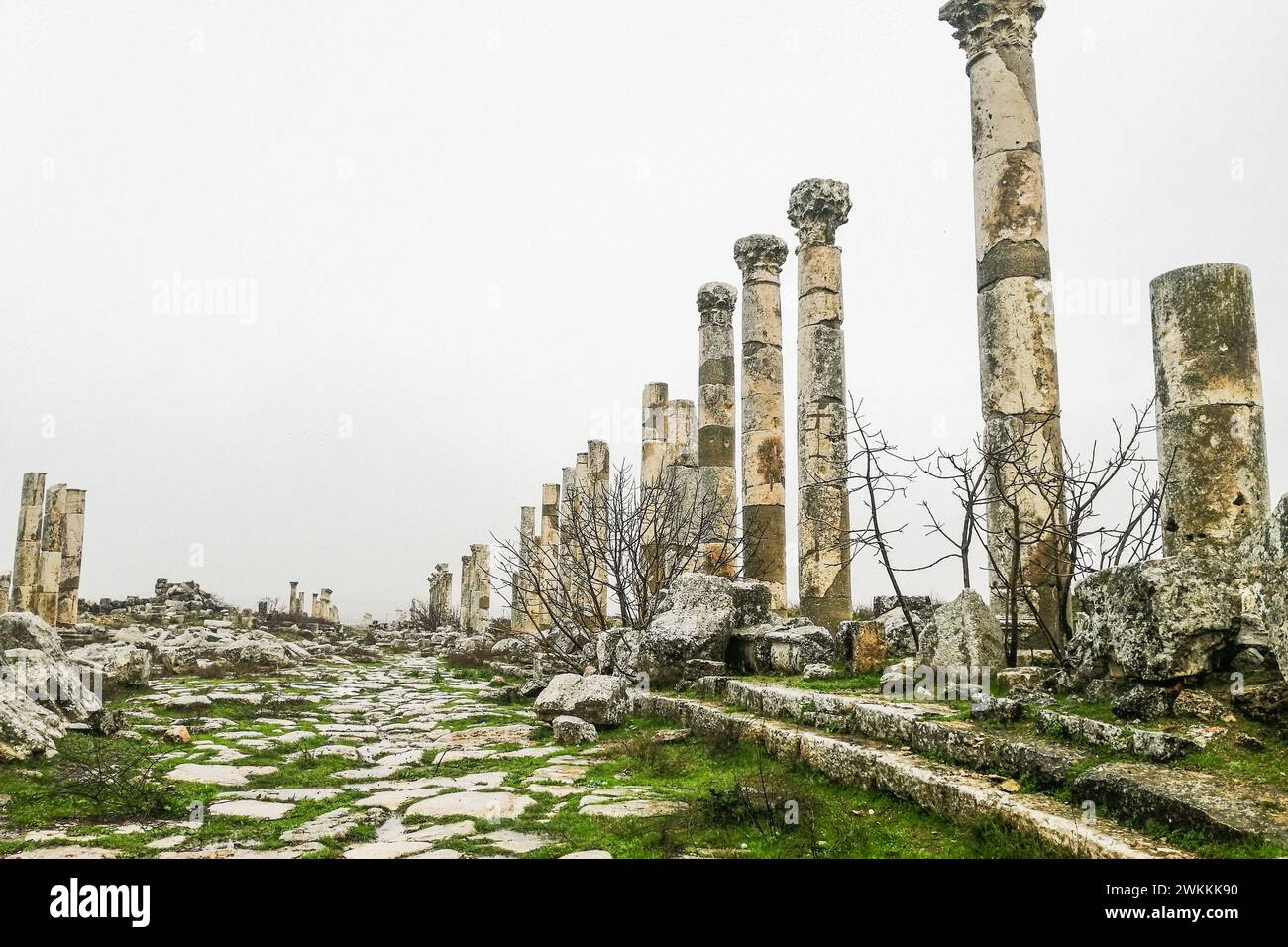 Syria, Apamea, Honourific Column and Colonnade at the Roman Ruins of ...