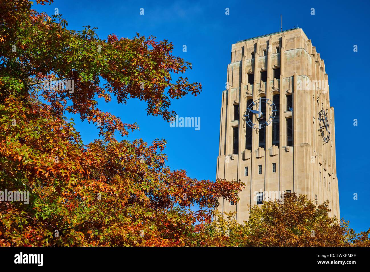 Autumnal Clock Tower at University of Michigan, Ground View Stock Photo ...