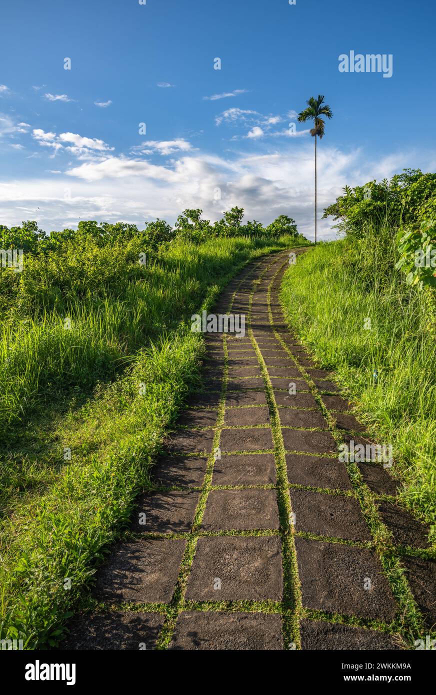Campuhan Ridge Walk, scenic hiking trail in Ubud, Bali, Indonesia Stock ...