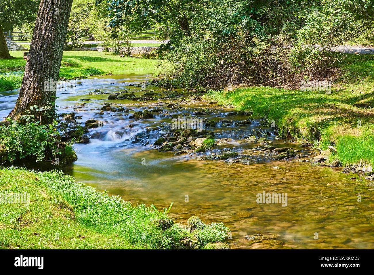 Serene Stream with Lush Greenery and Pebbled Bed at Spring Mills State ...