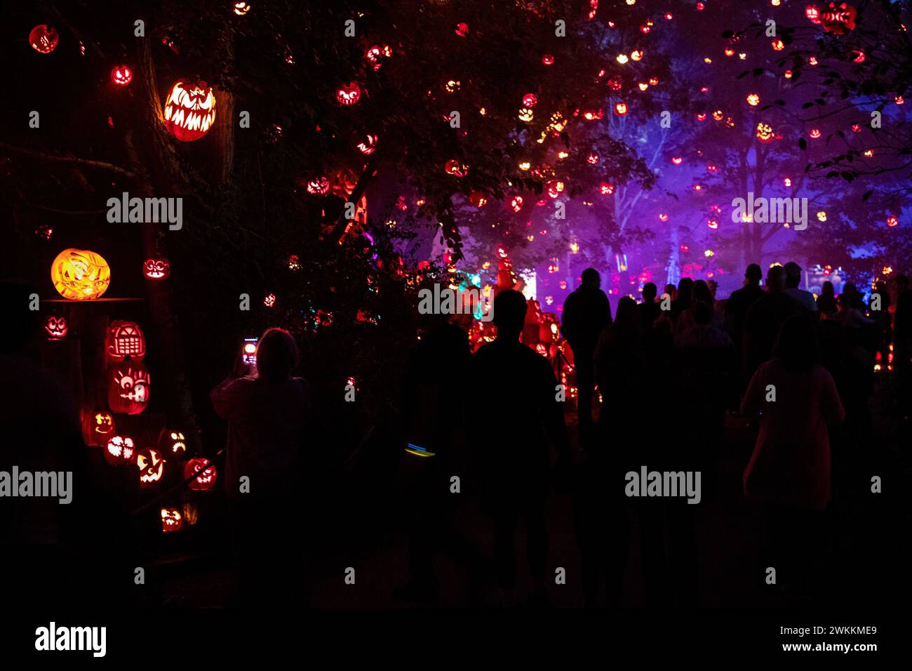 Visitors stroll through the Jaco-O-Lantern Spectacular pumpkin trail at ...