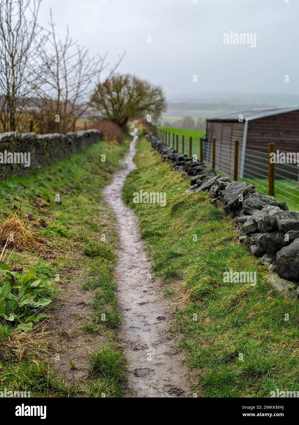 A muddy footpath in Yorkshire Stock Photo - Alamy