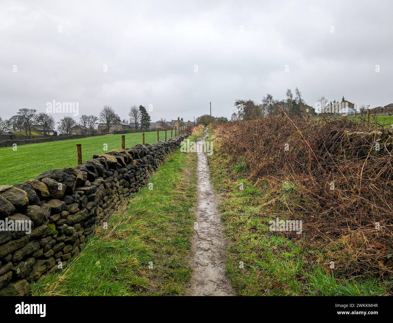 A muddy footpath in Yorkshire Stock Photo - Alamy