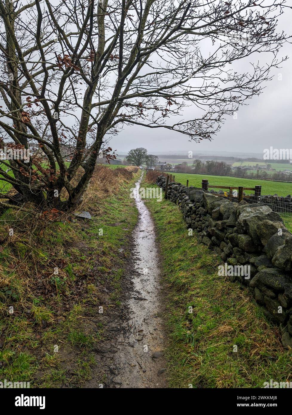 A muddy footpath in Yorkshire Stock Photo - Alamy