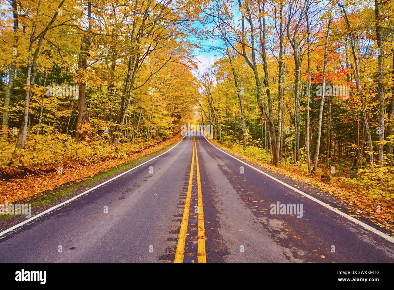 Asphalt splendor hi-res stock photography and images - Alamy