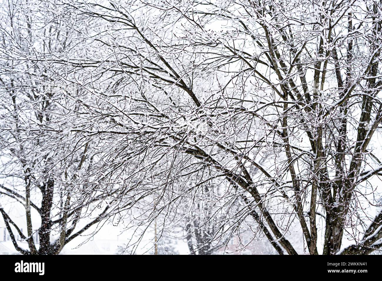 My trip to Ellis Island Stock Photo - Alamy