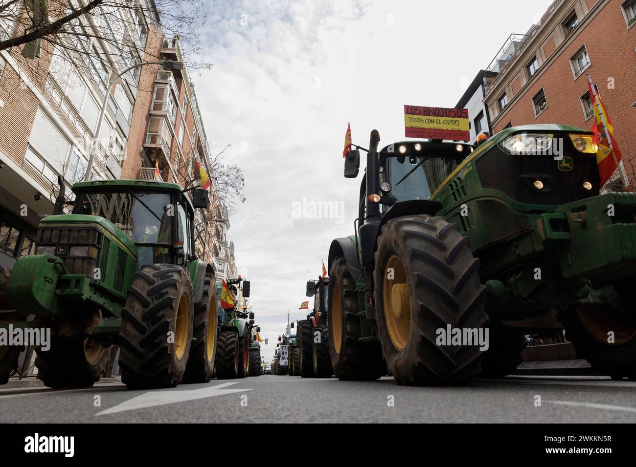 MADRID, SPAIN - FEBRUARY 21: A group of tractors arrive in the center ...