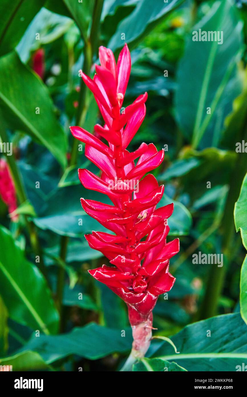 Gardens setting hi-res stock photography and images - Alamy