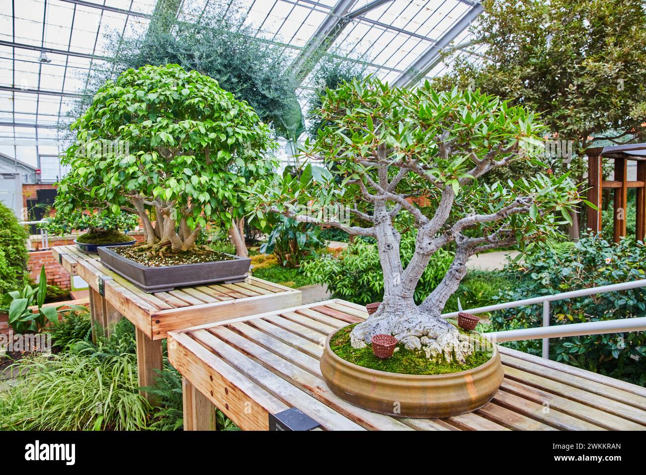 Mastery pathway hi-res stock photography and images - Alamy