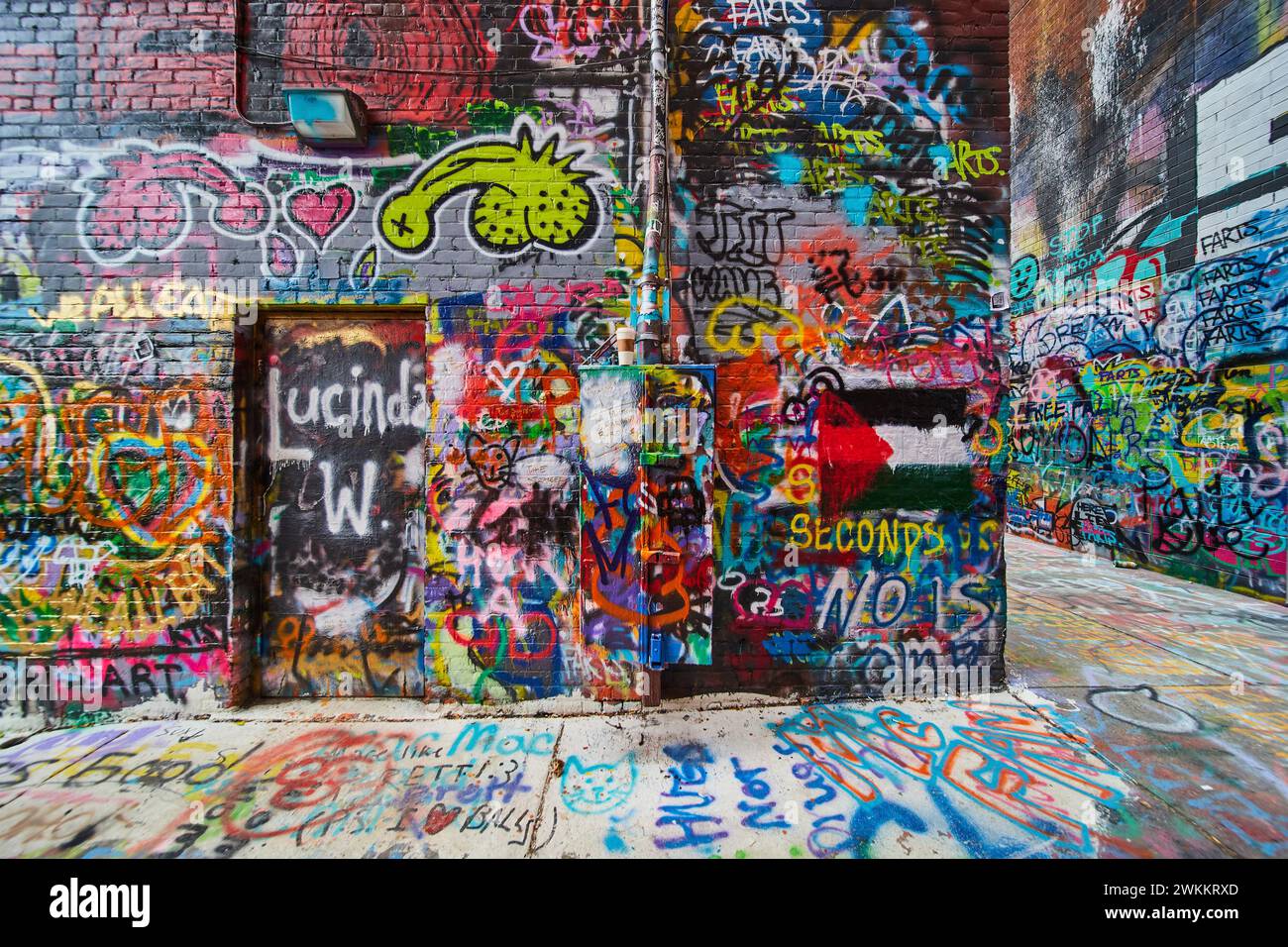 Vibrant Urban Graffiti Art on Alley Walls in Michigan Stock Photo - Alamy