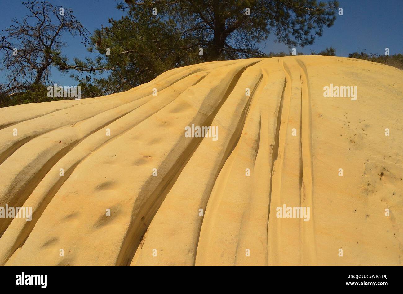Erosion in Torrey Pines Sandstone at Torrey Pines Extension Stock Photo - Alamy