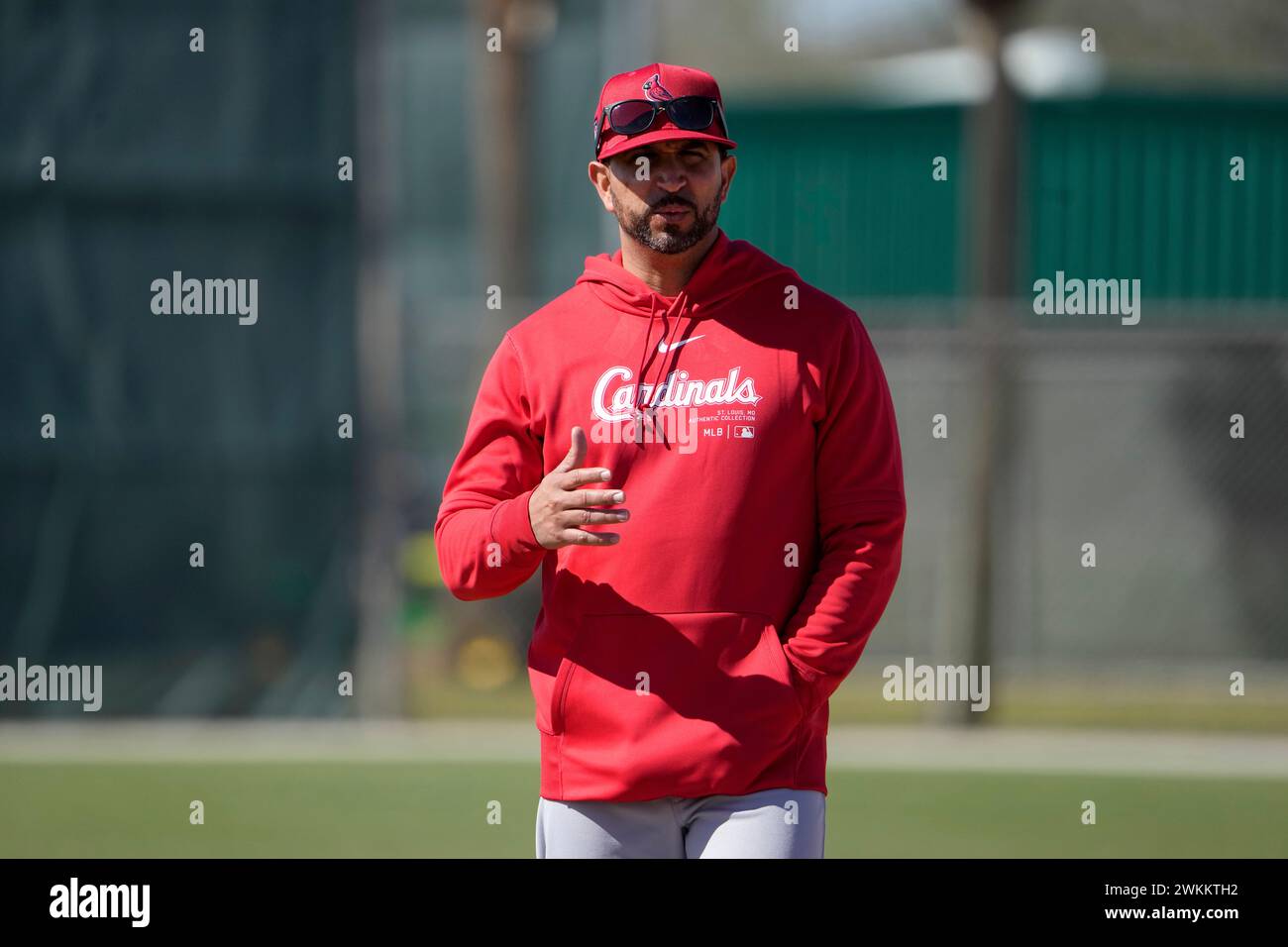 St. Louis Cardinals manager Oliver Marmol roams the field during a ...