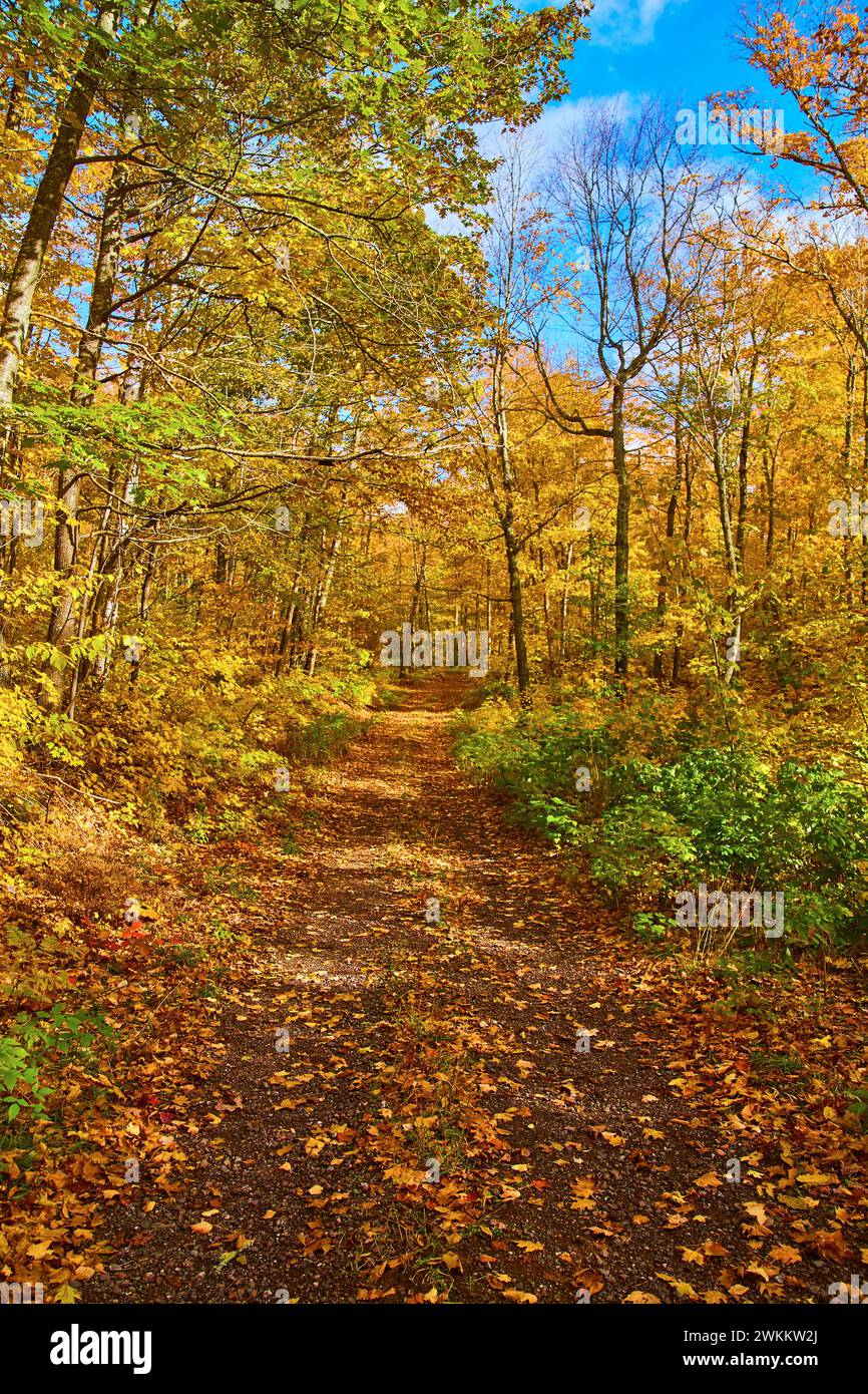 Autumn Forest Trail with Vibrant Fall Foliage in Keweenaw Stock Photo ...