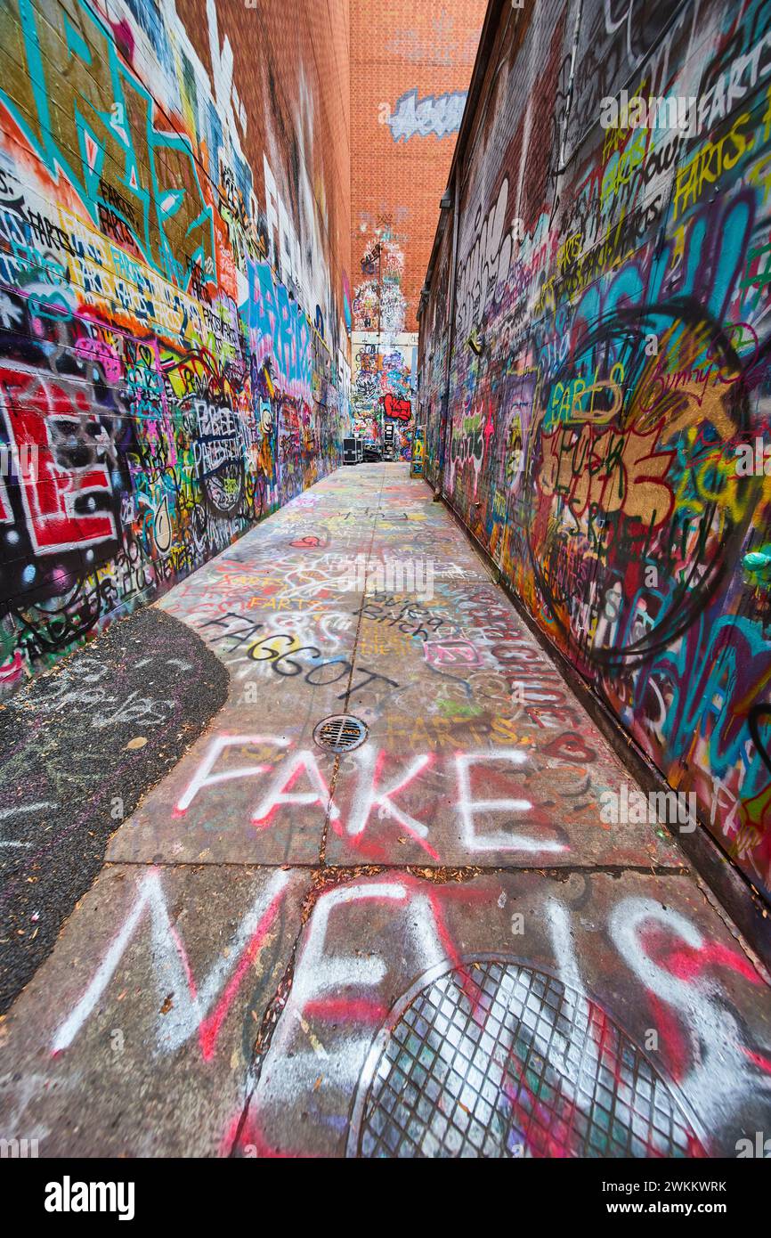 Vibrant Graffiti Alley with 'FAKE NEWS' Artwork, Urban Michigan Stock ...