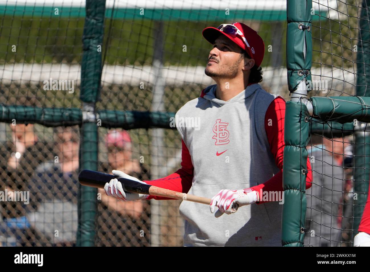 St. Louis Cardinals' Nolan Arenado takes batting practice during a ...
