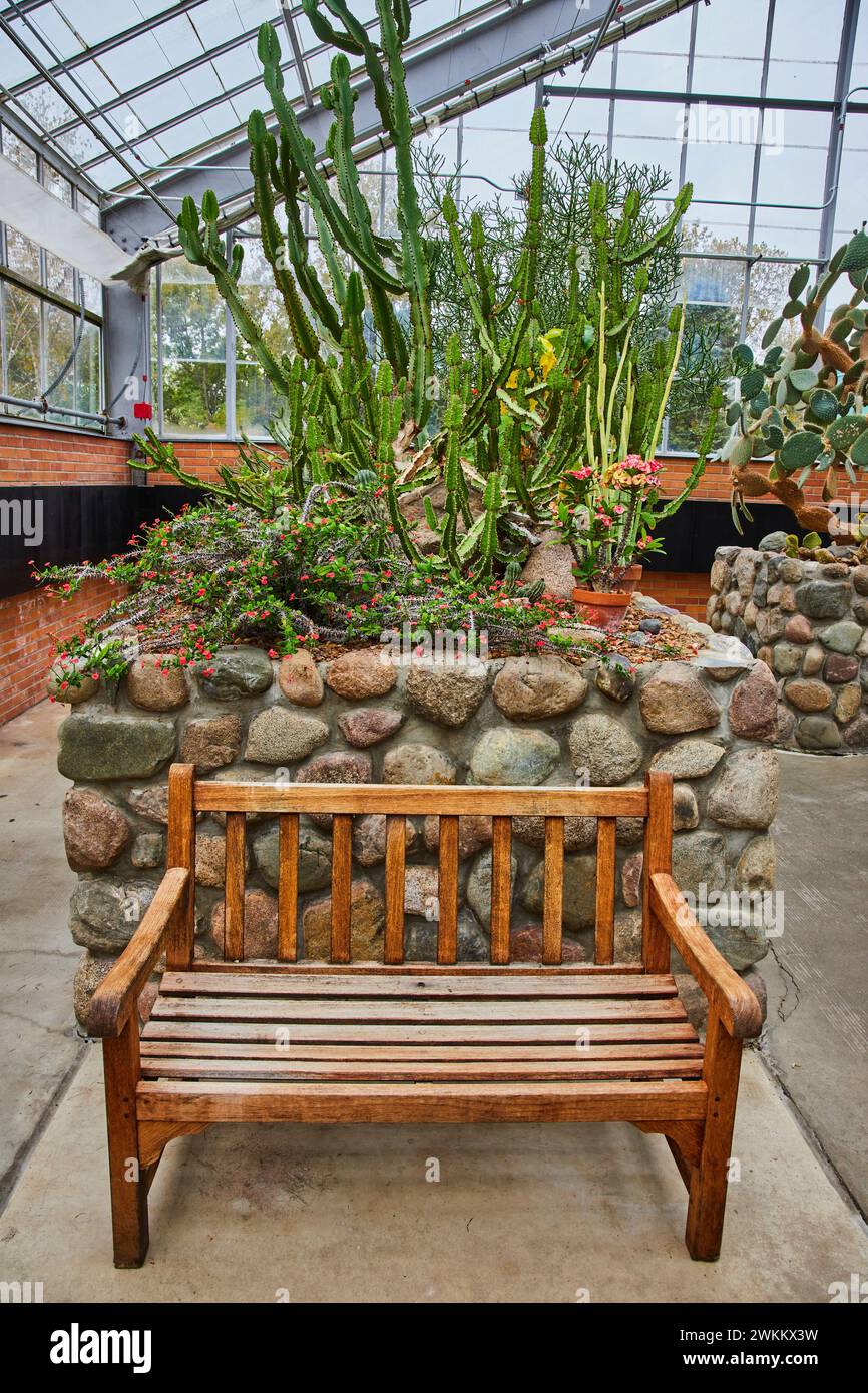 Rustic Bench in Cacti Greenhouse, Eye-Level View Stock Photo - Alamy