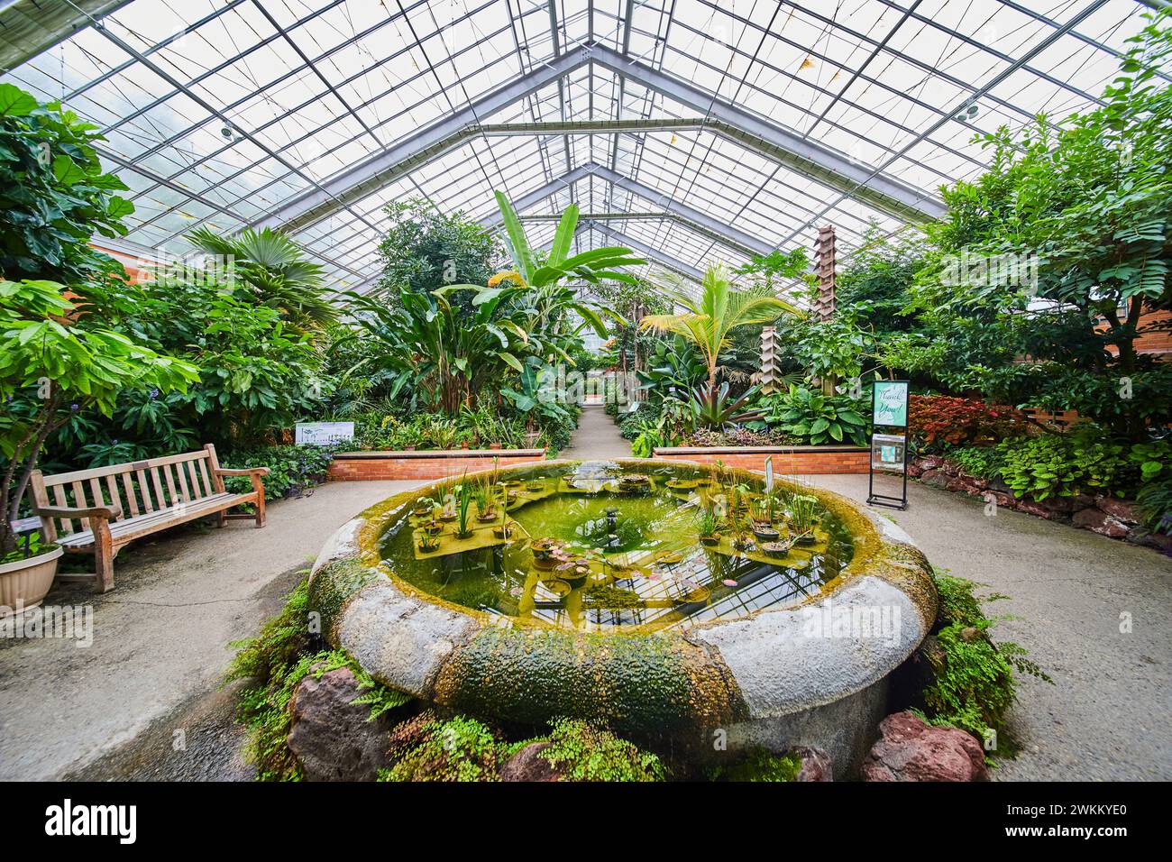 Tropical Greenhouse Oasis with Pond - Matthaei Botanical Gardens Stock ...