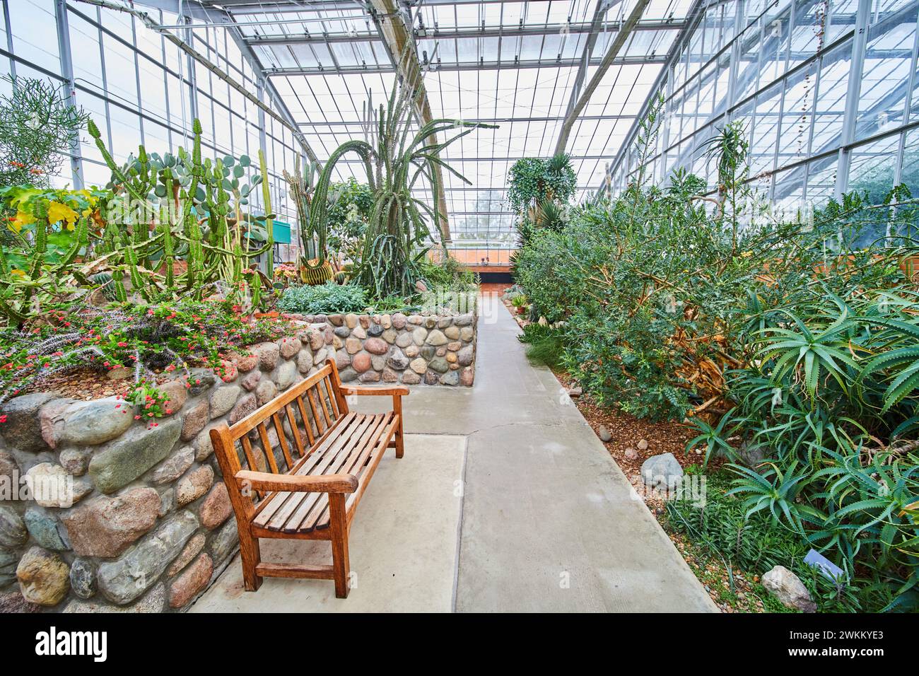 Tranquil Greenhouse Bench Pathway - Matthaei Botanical Gardens Stock ...