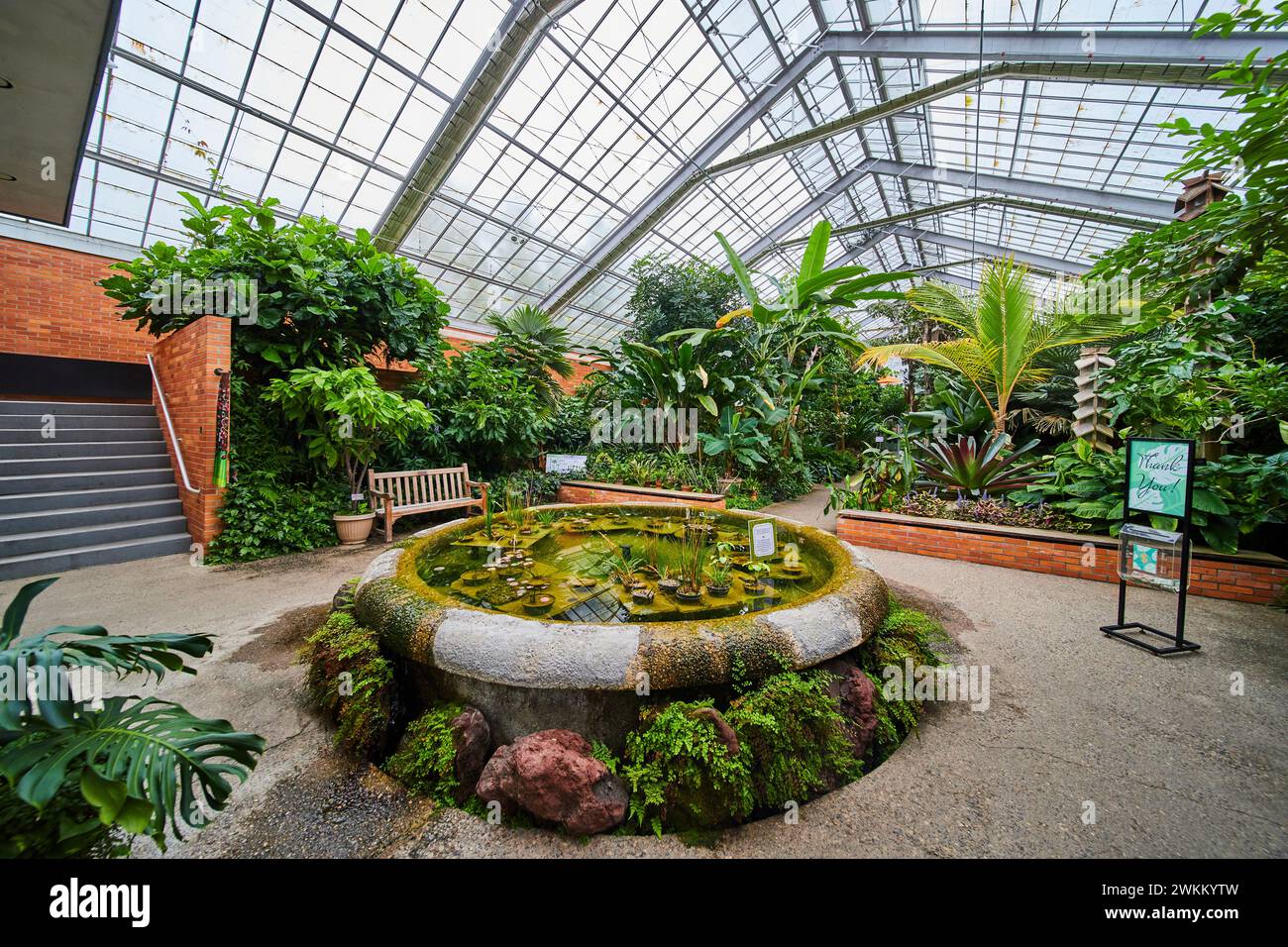 Tropical Greenhouse Oasis with Water Feature and Natural Light Stock ...