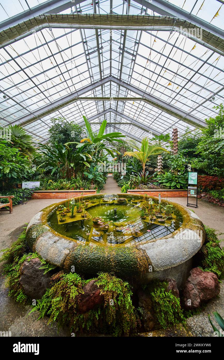 Tropical Greenhouse Oasis with Pond and Glass Roof, Matthaei Botanical ...