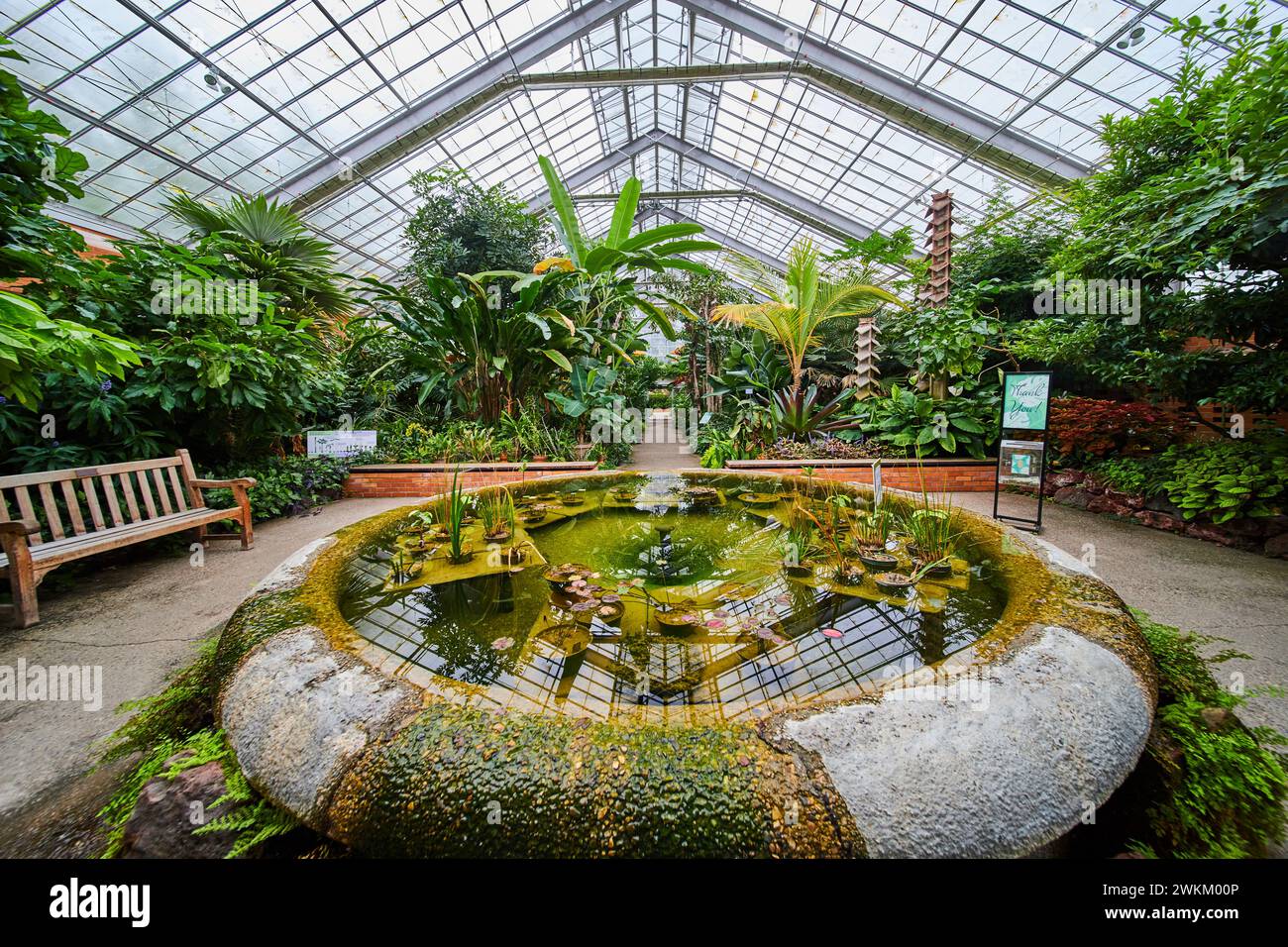 Tropical Botanical Garden Oasis with Water Feature in Greenhouse Stock ...