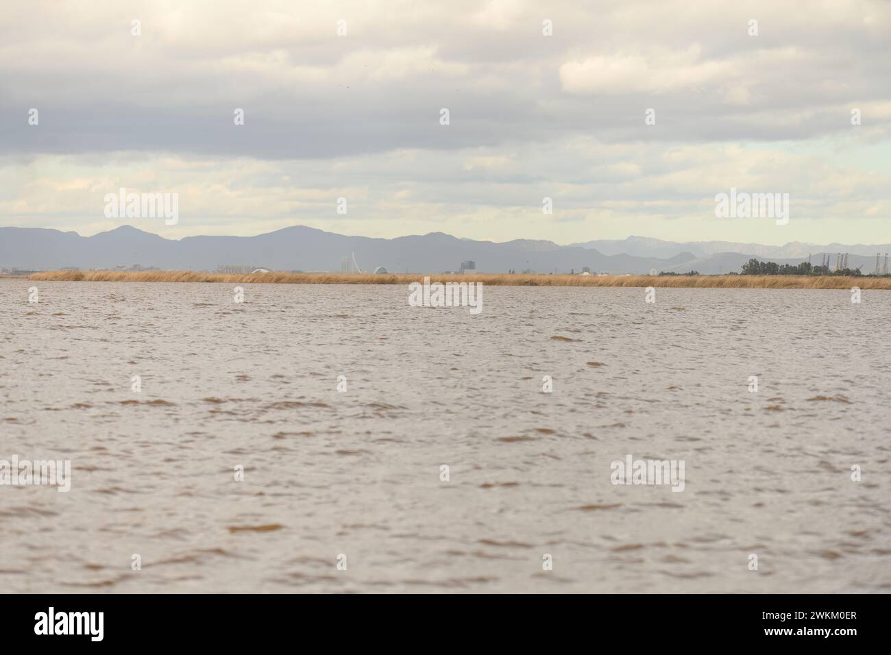The Valencia skyline rises in the distance, viewed across the choppy ...